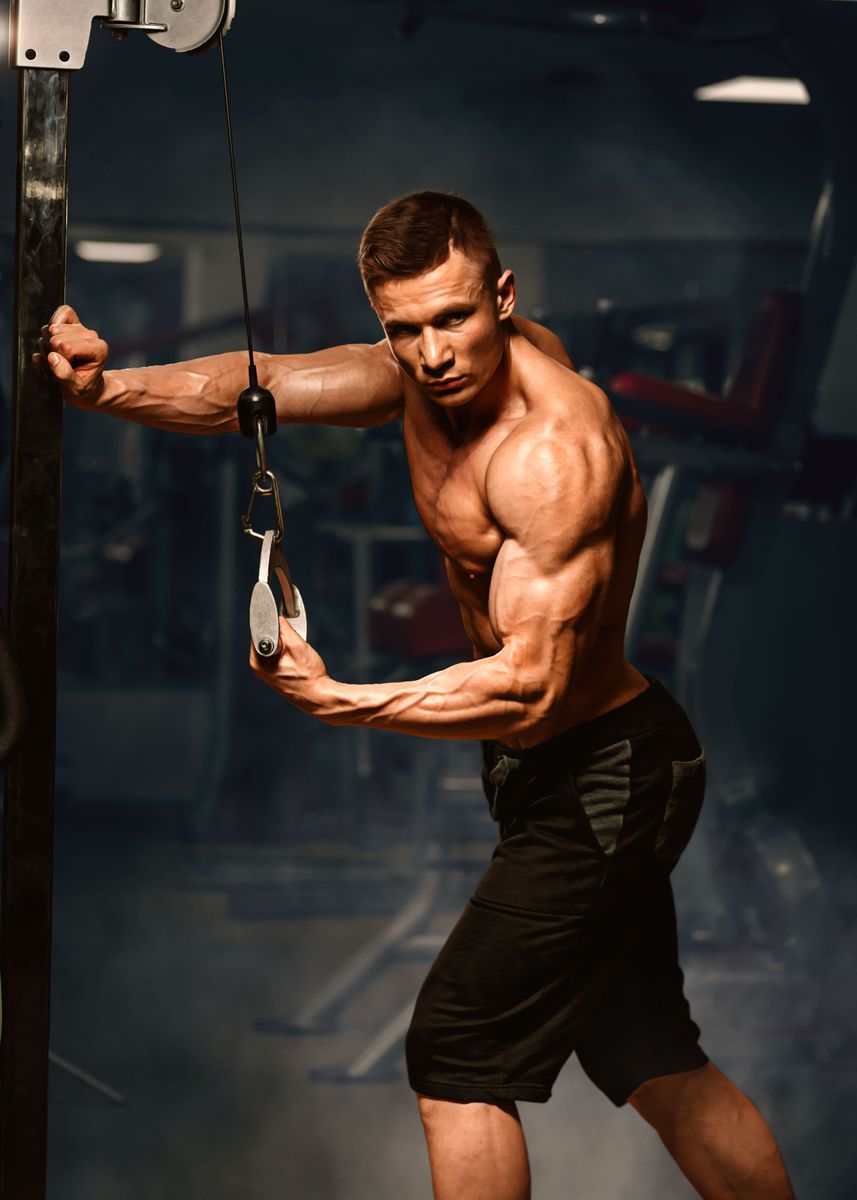 'Gym Bodybuilding Sport 108' Poster, picture, metal print, paint by ...