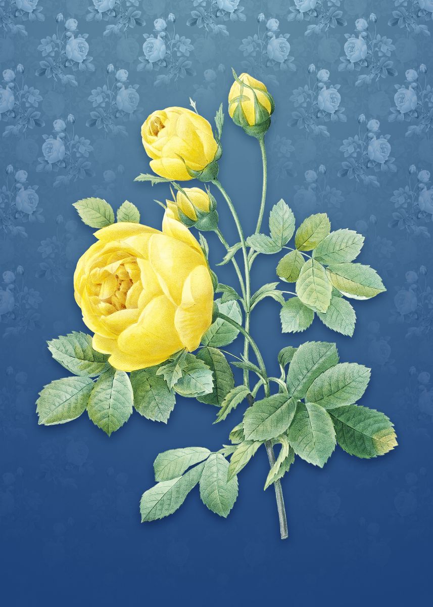 'Vintage Yellow Rose' Poster by Holy Rock Design | Displate