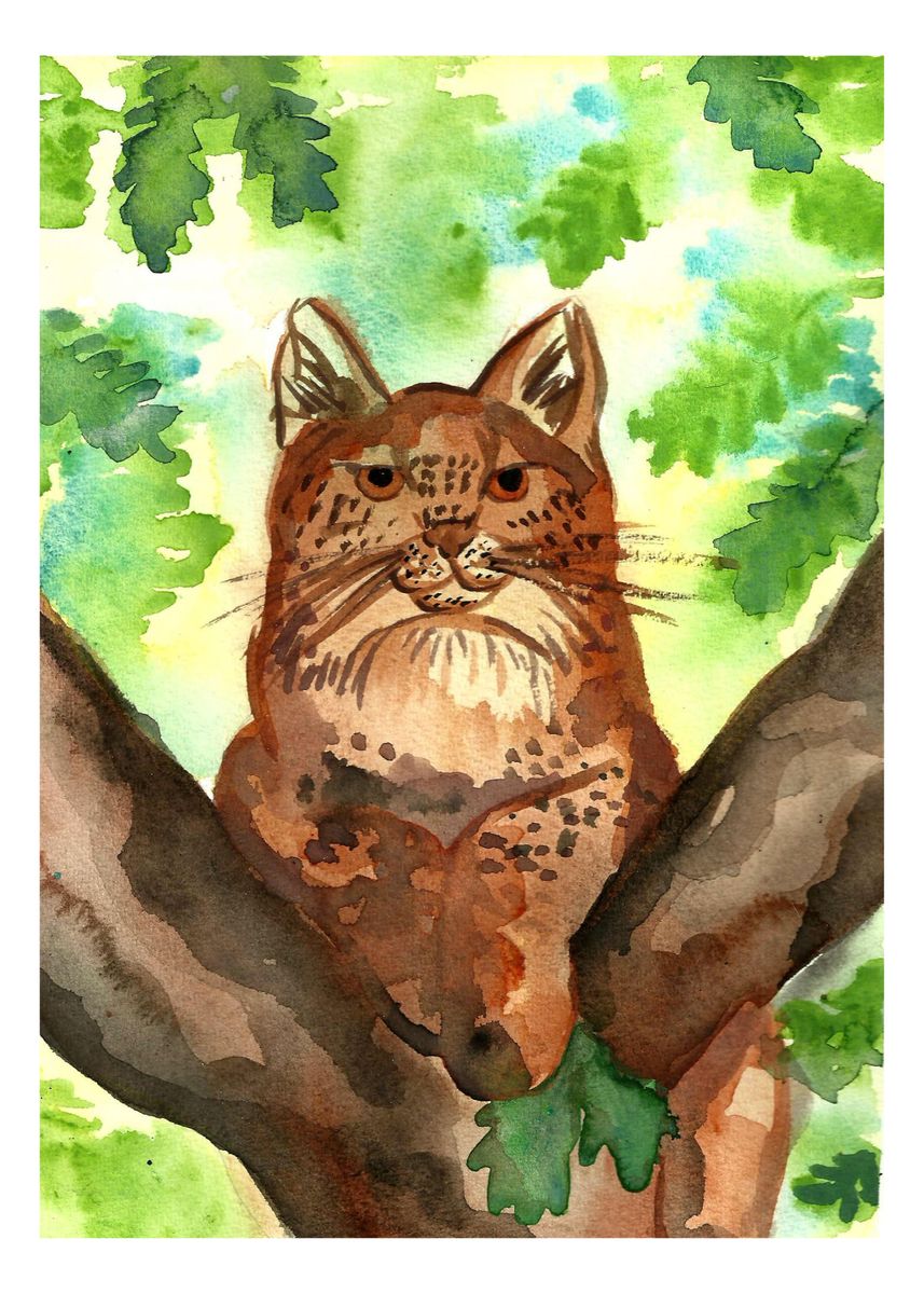 'Observing Lynx' Poster, picture, metal print, paint by Fairychamber ...