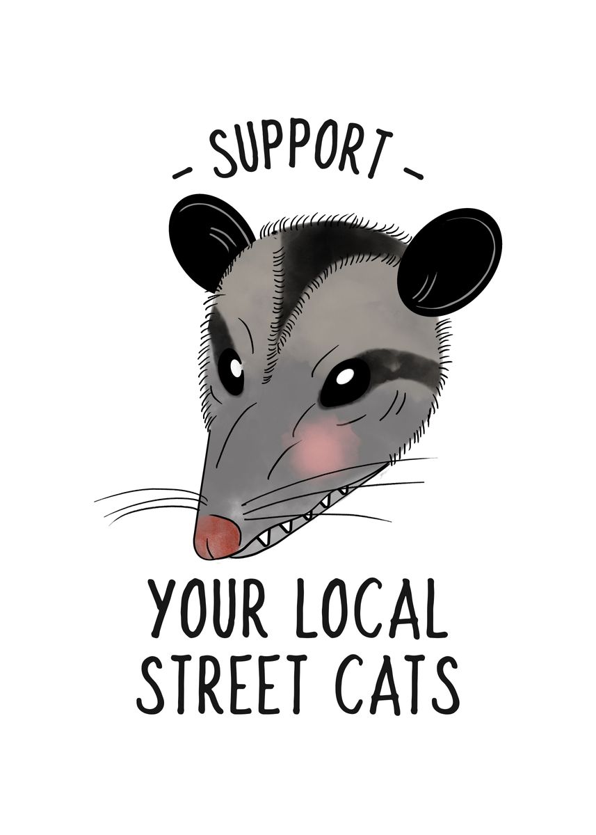 'Sarcastic Opossum' Poster by NIZAM KHAN | Displate