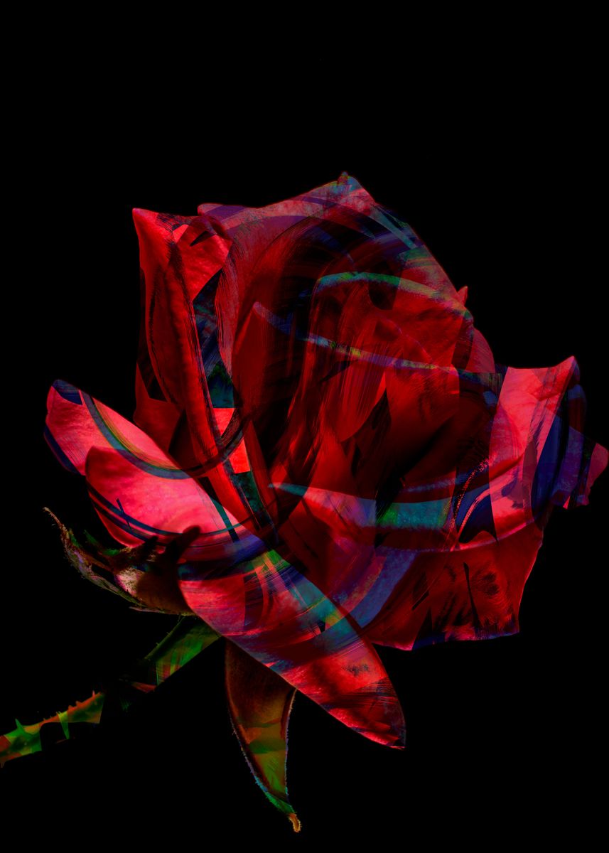 'Red digital rose' Poster by Larisa Siverina | Displate