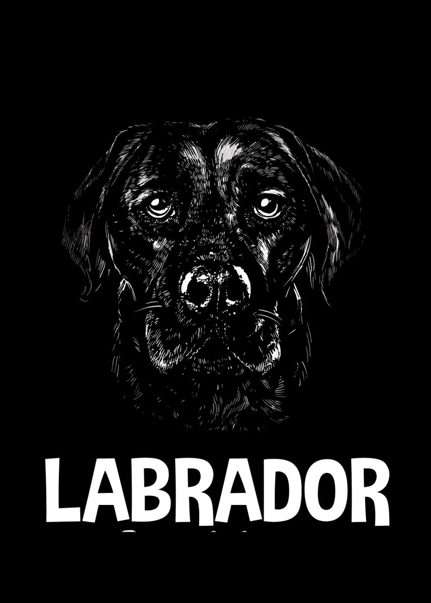 'Labrador Labby Dog Face ' Poster, picture, metal print, paint by ...