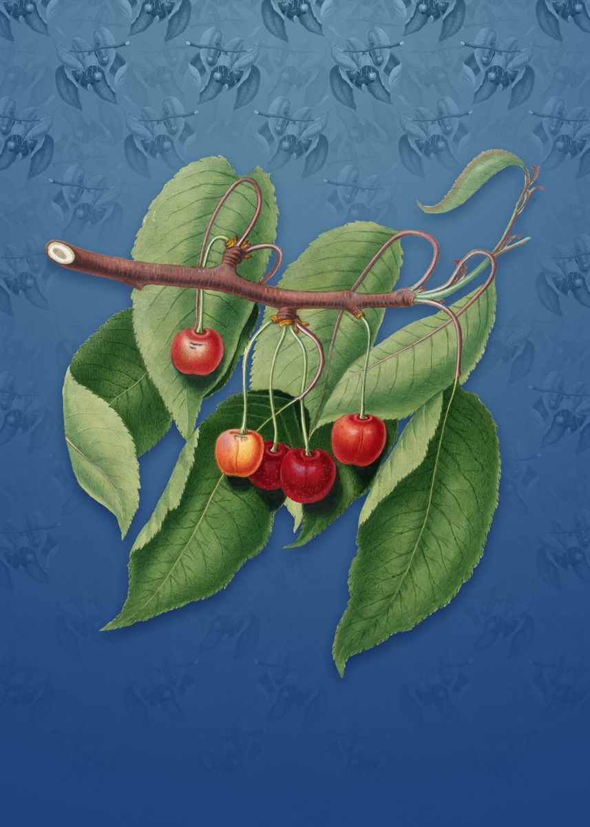 'Cherry on Bahama Blue' Poster, picture, metal print, paint by Holy ...