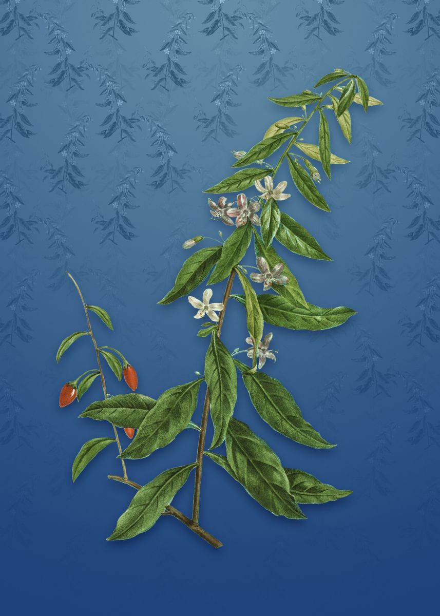 'Vintage Goji Berry Tree' Poster, picture, metal print, paint by Holy ...