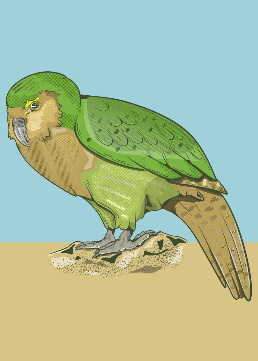 'Kakapo' Poster, picture, metal print, paint by mailbox disco | Displate