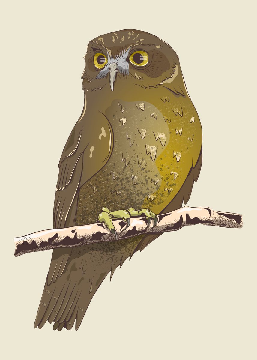 'Ruru Morepork' Poster, picture, metal print, paint by mailbox disco ...