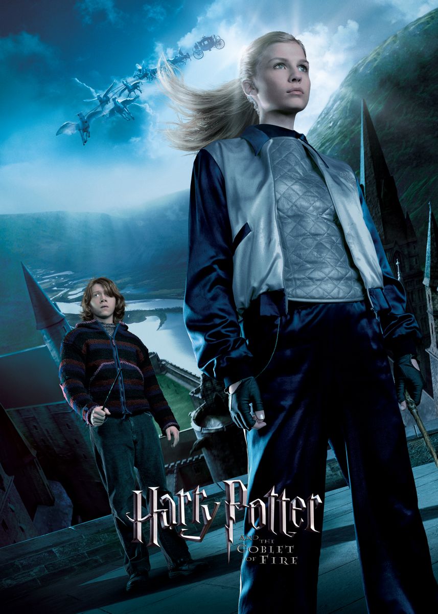 'Fleur and Ron' Poster, picture, metal print, paint by Wizarding World ...