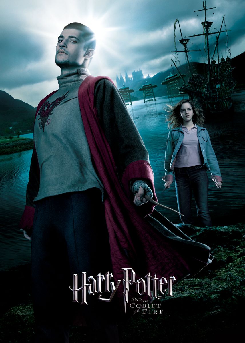 'Victor Krum and Hermione' Poster, picture, metal print, paint by ...
