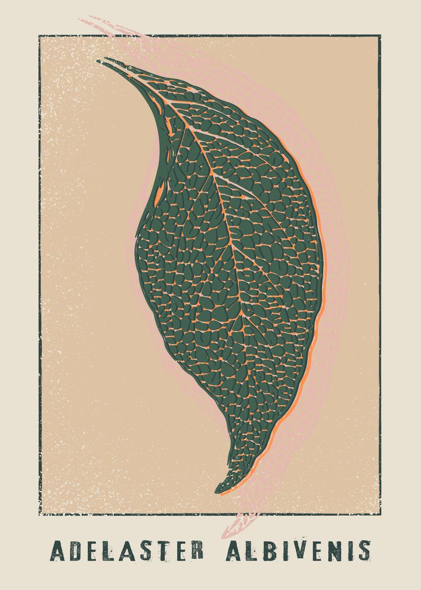 'Adelaster Albivenis' Poster, picture, metal print, paint by ...