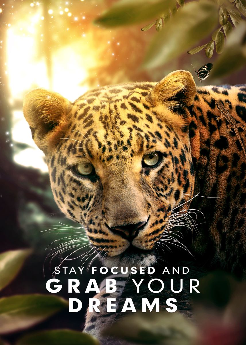 'Stay Focused Motivation' Poster, picture, metal print, paint by ...