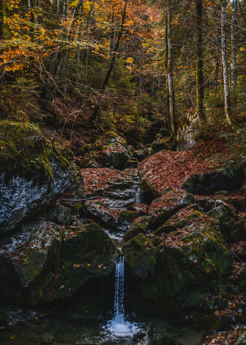 'Autumn forest waterfall' Poster, picture, metal print, paint by Marcel ...