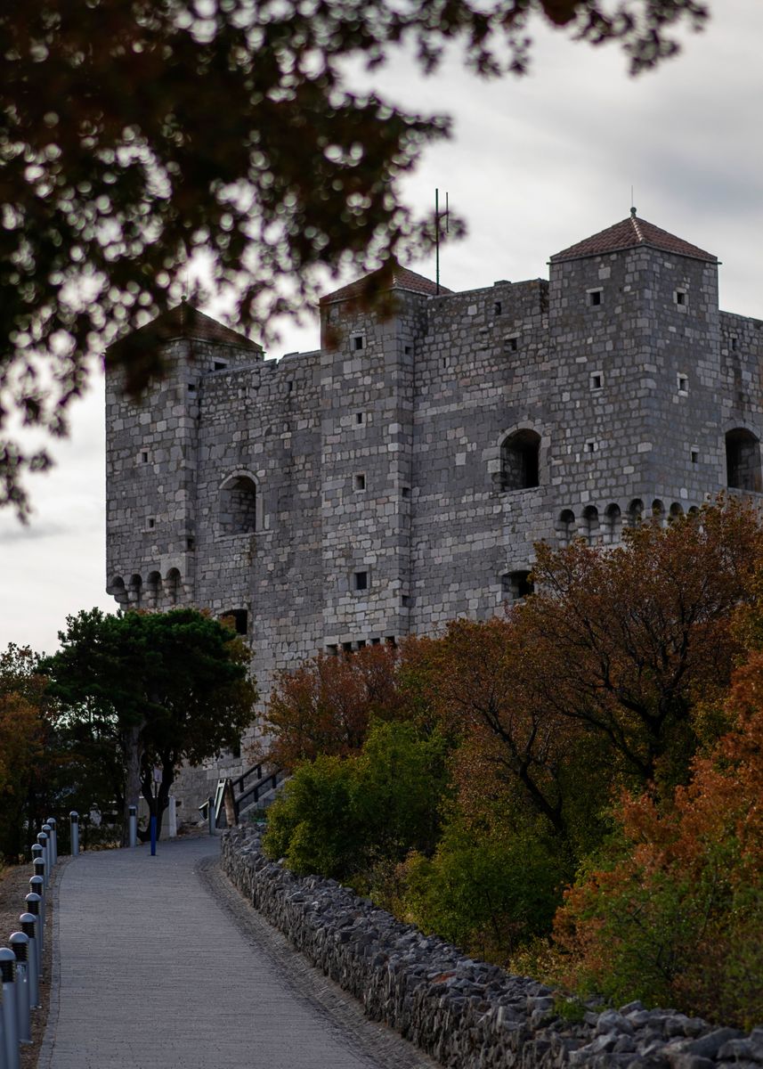 'Castle' Poster by MyLuckyCharms | Displate