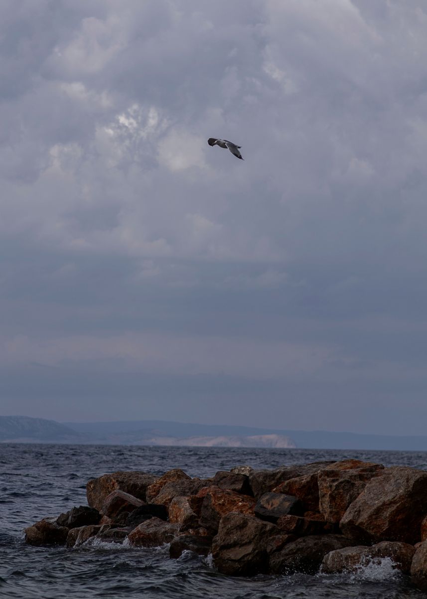 'Wild sea' Poster by MyLuckyCharms | Displate