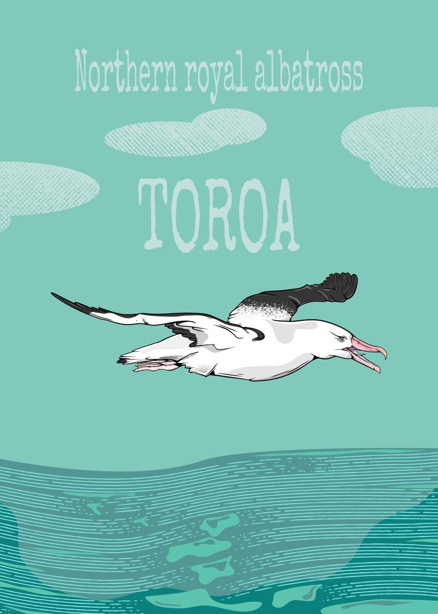 'Northern Royal Albatross' Poster, picture, metal print, paint by ...