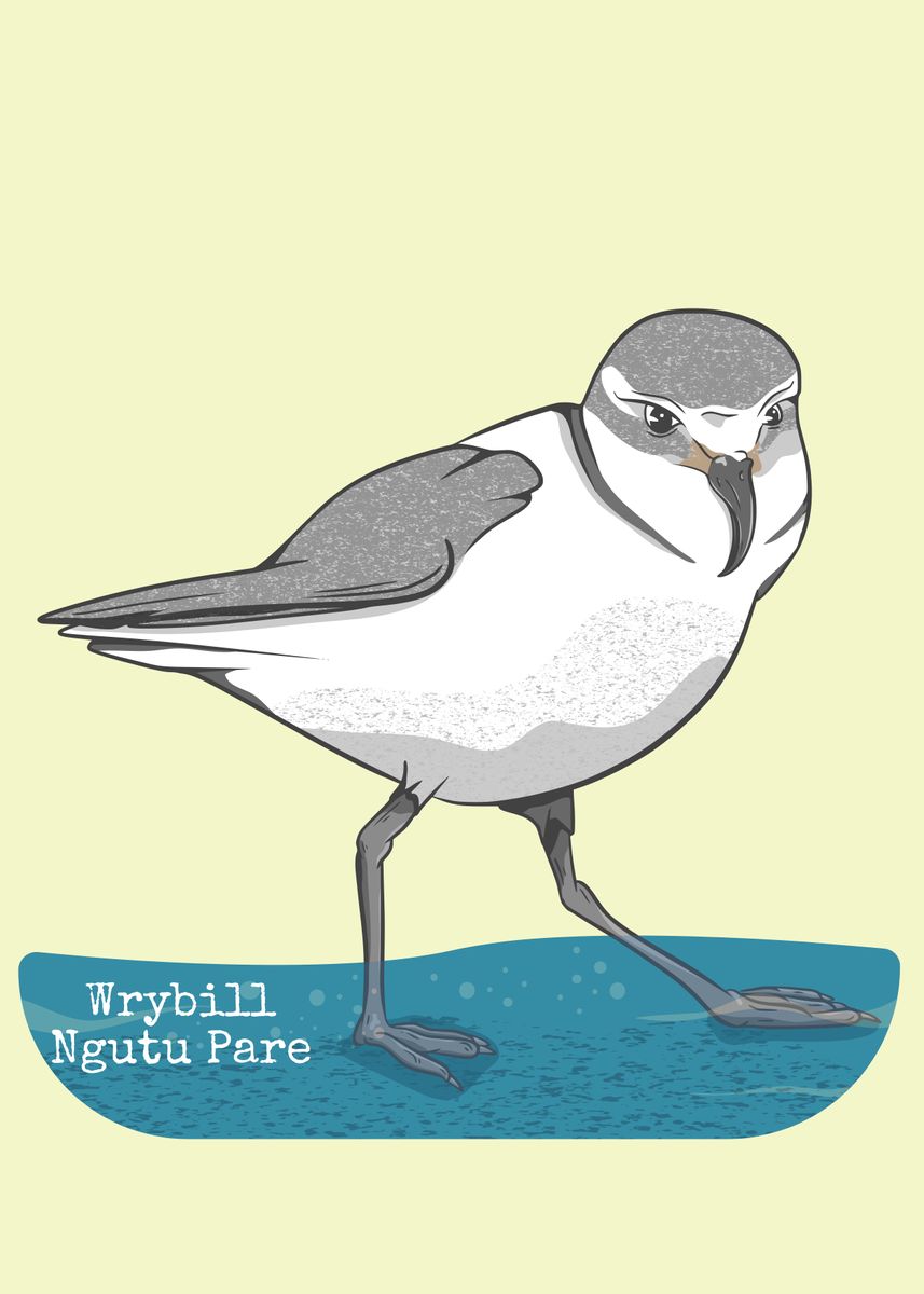 'Wrybill New Zealand Bird' Poster, picture, metal print, paint by ...