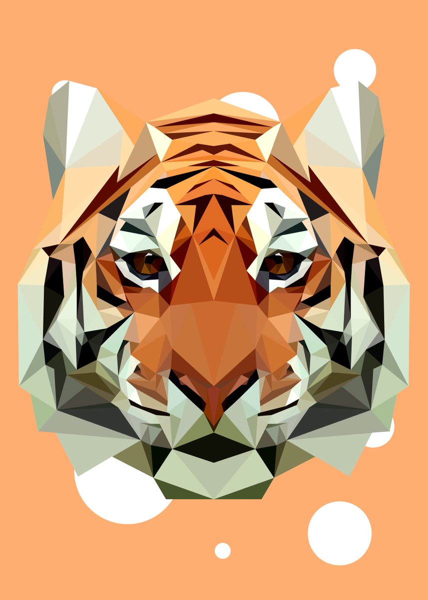 'Tiger' Poster by Lee Jani | Displate