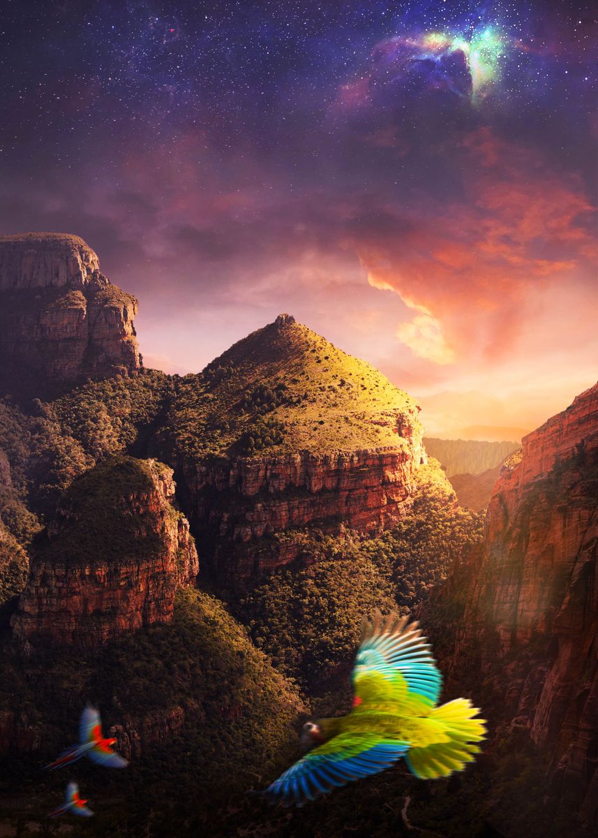 'Bird Valley' Poster by Shaheen Khan | Displate