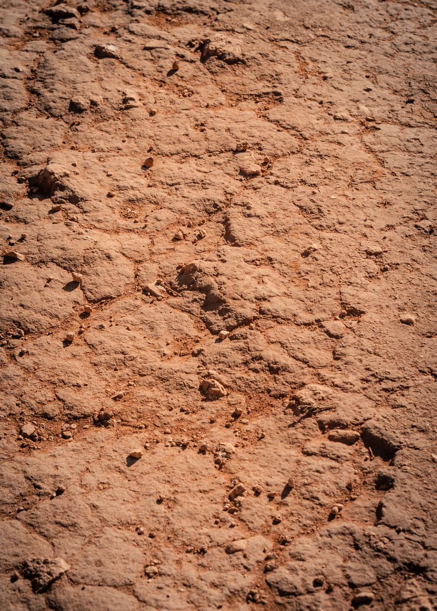 'Red Ground II' Poster, picture, metal print, paint by Marco Moroni ...