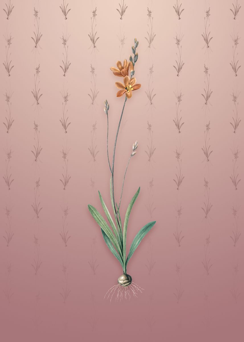 'Mossel Bay Tritonia' Poster, picture, metal print, paint by Holy Rock ...