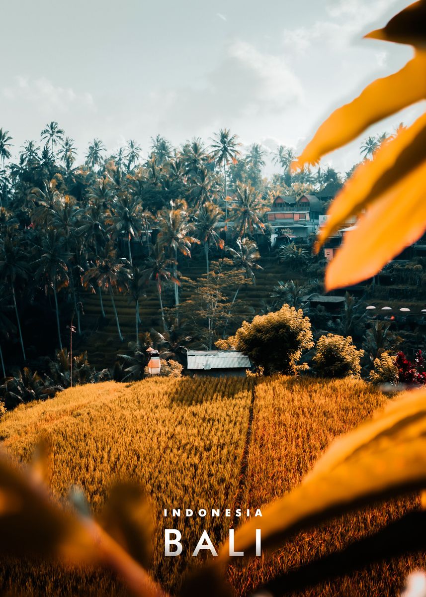 'Bali View' Poster, picture, metal print, paint by Oneil Photography ...