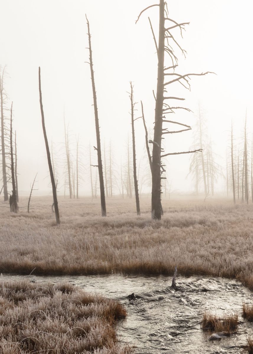'Creek through the fog' Poster by James Clarke | Displate