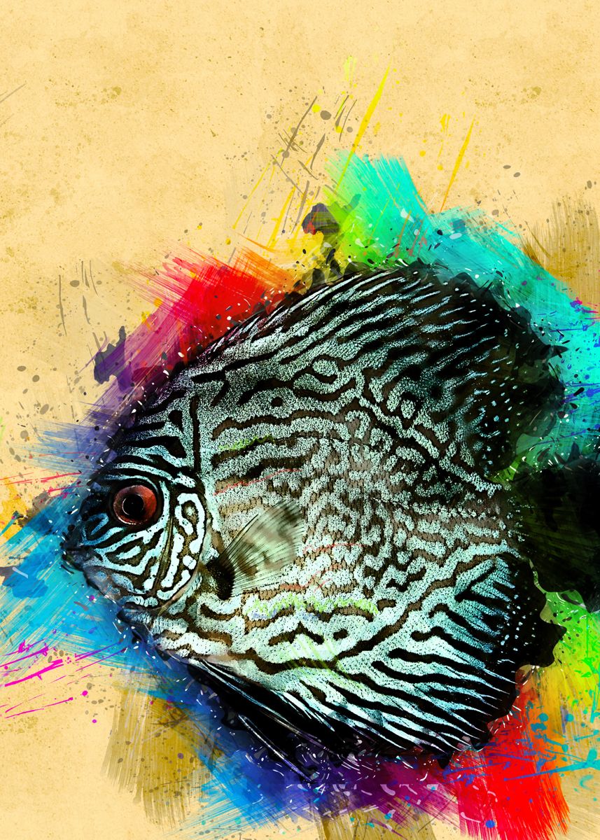 'Discus 155' Poster, picture, metal print, paint by TaTu Art | Displate