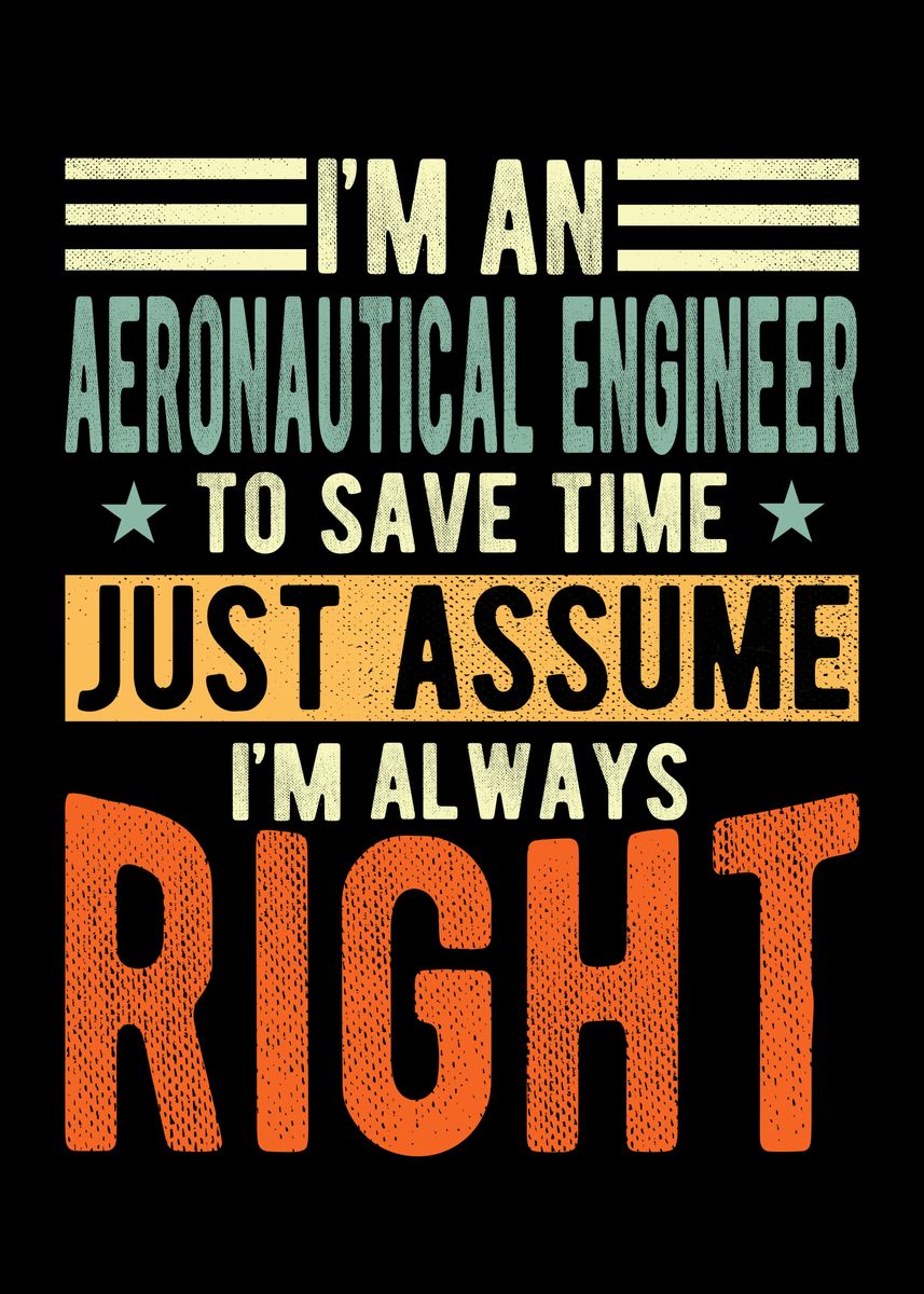 'Aeronautical Engineer' Poster, picture, metal print, paint by schmugo ...