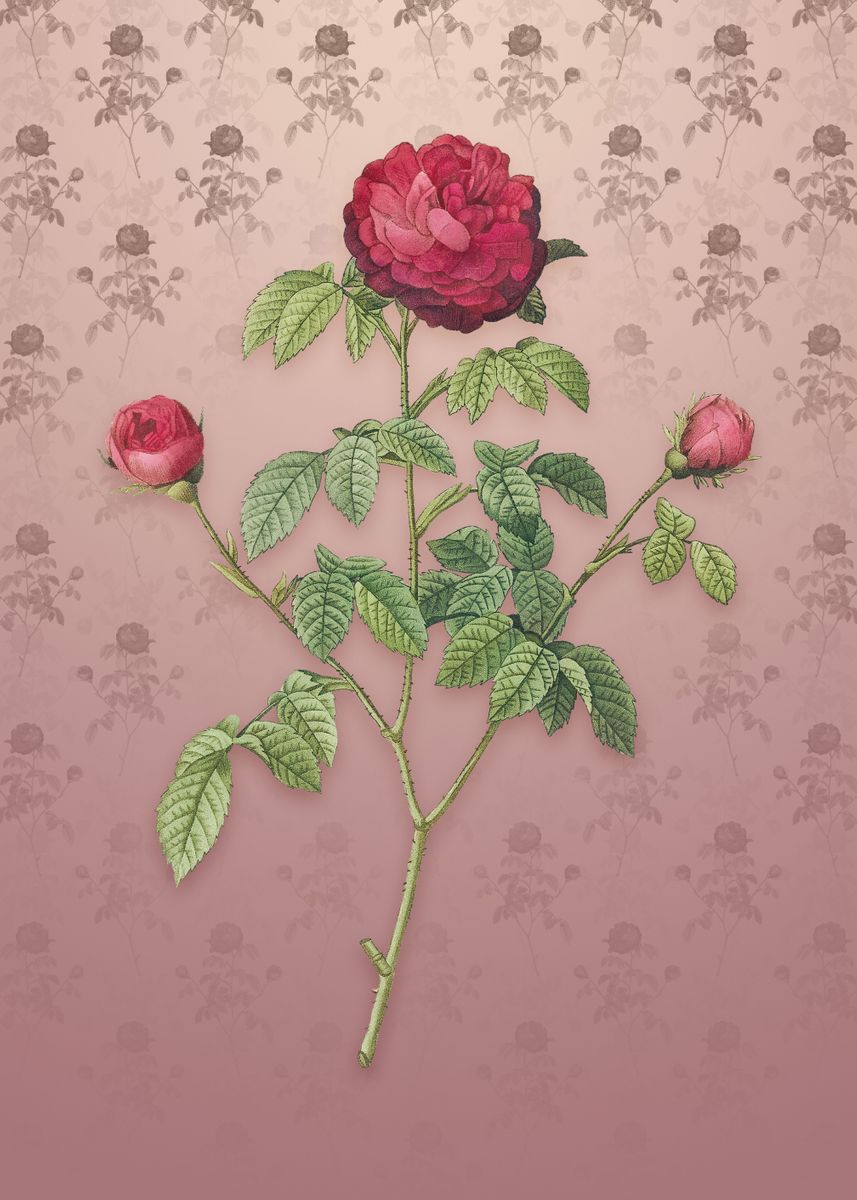 'Agatha Rose in Bloom' Poster by Holy Rock Design | Displate