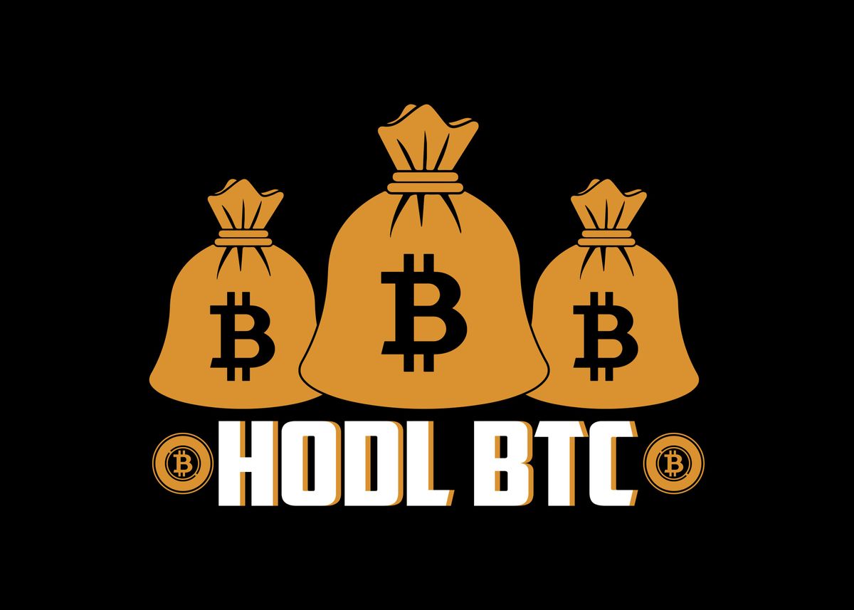 'Hodl BTC' Poster by Zake Yonkou | Displate
