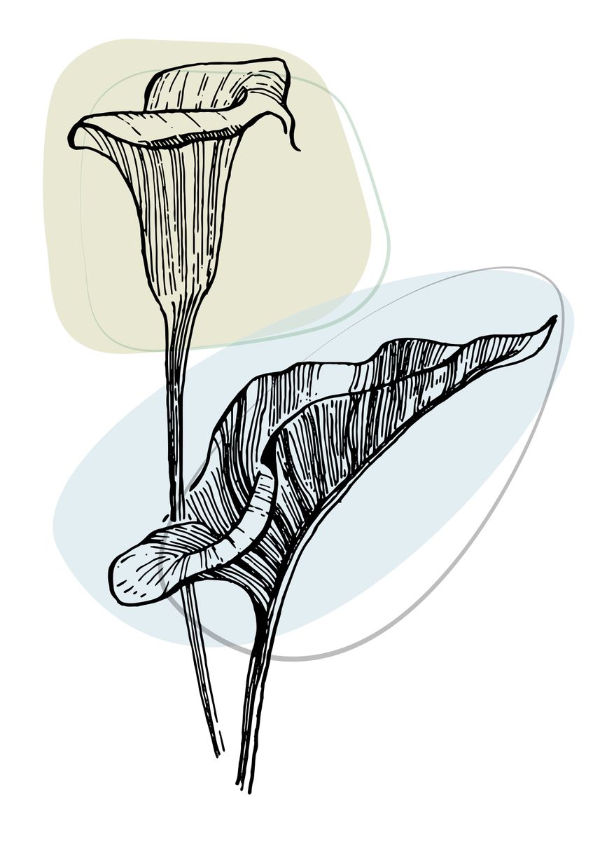 'Hand draw ' Poster, picture, metal print, paint by Samira Yanushkova ...