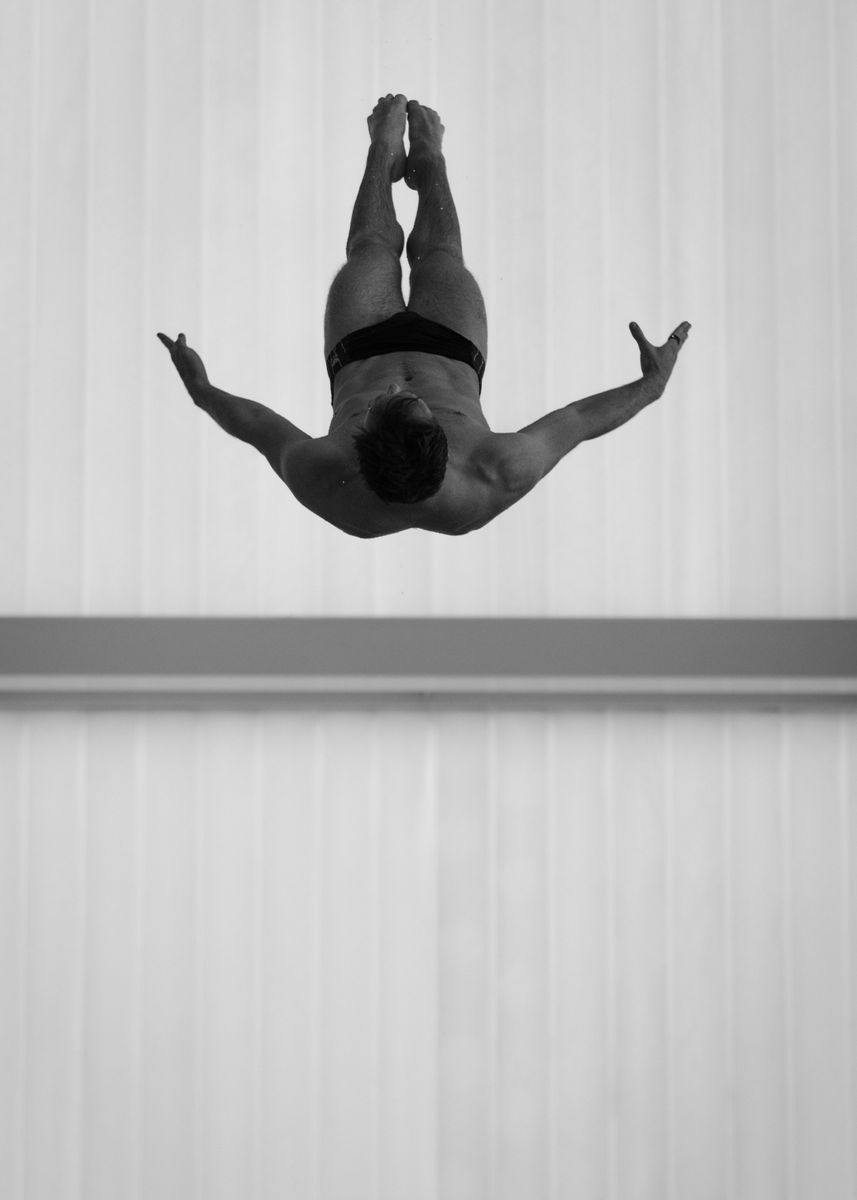 'A perfect dive' Poster by Sam Brady | Displate