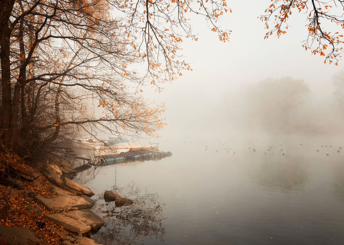 'Nostalgic morning' Poster by anettastar | Displate