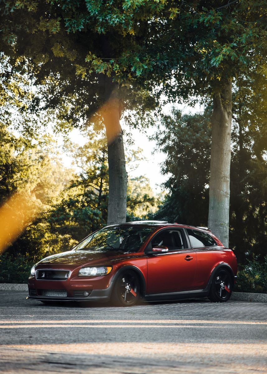 'Scion' Poster by Marcel Lee | Displate