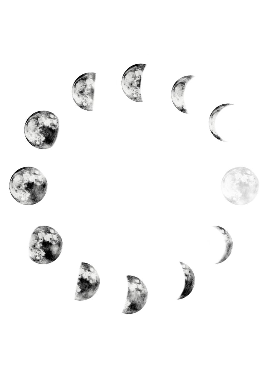 'Moon Phases Space Graphic' Poster, picture, metal print, paint by ...