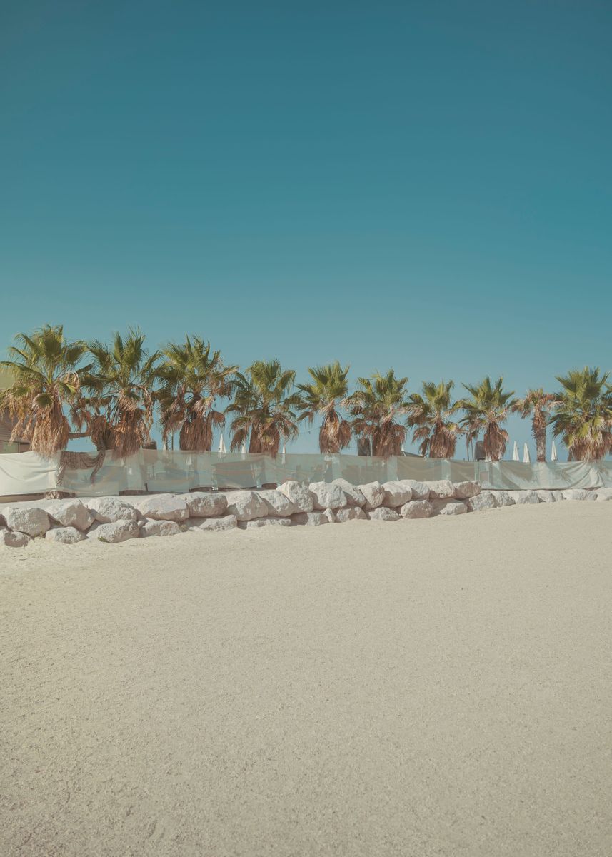 'Palm beach' Poster, picture, metal print, paint by Laura Sanchez ...