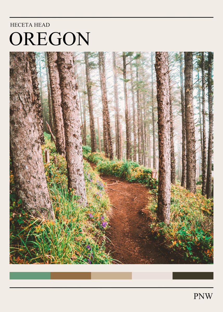 'Oregon Forest Photography' Poster, picture, metal print, paint by ...