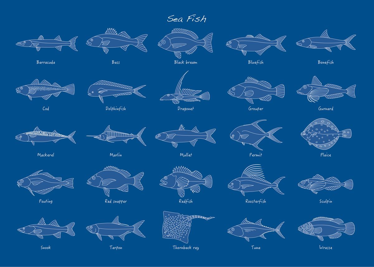 'Sea Fish' Poster by Angling Knots | Displate