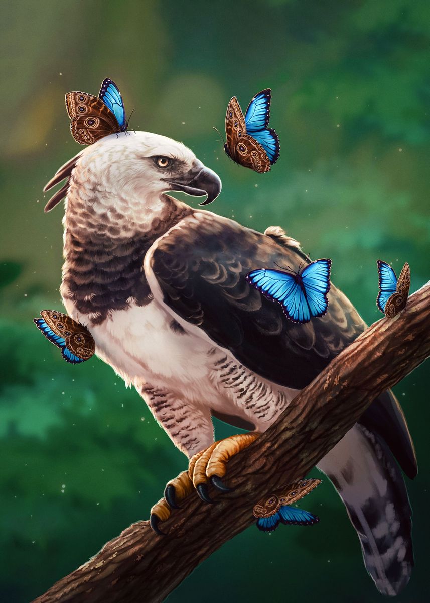 'Harpy Eagle' Poster, picture, metal print, paint by Nicole Bueckert ...