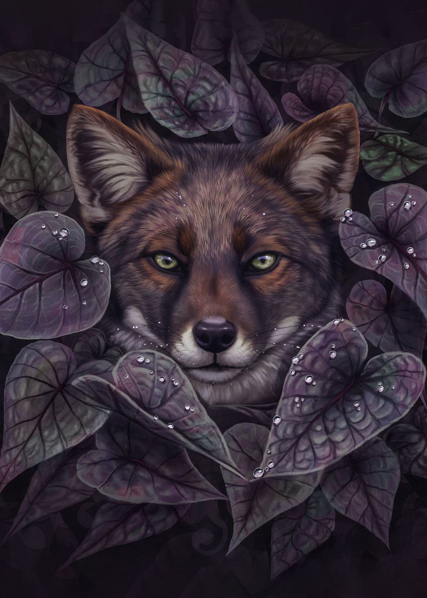 'Darwins Fox' Poster by Nicole Bueckert | Displate