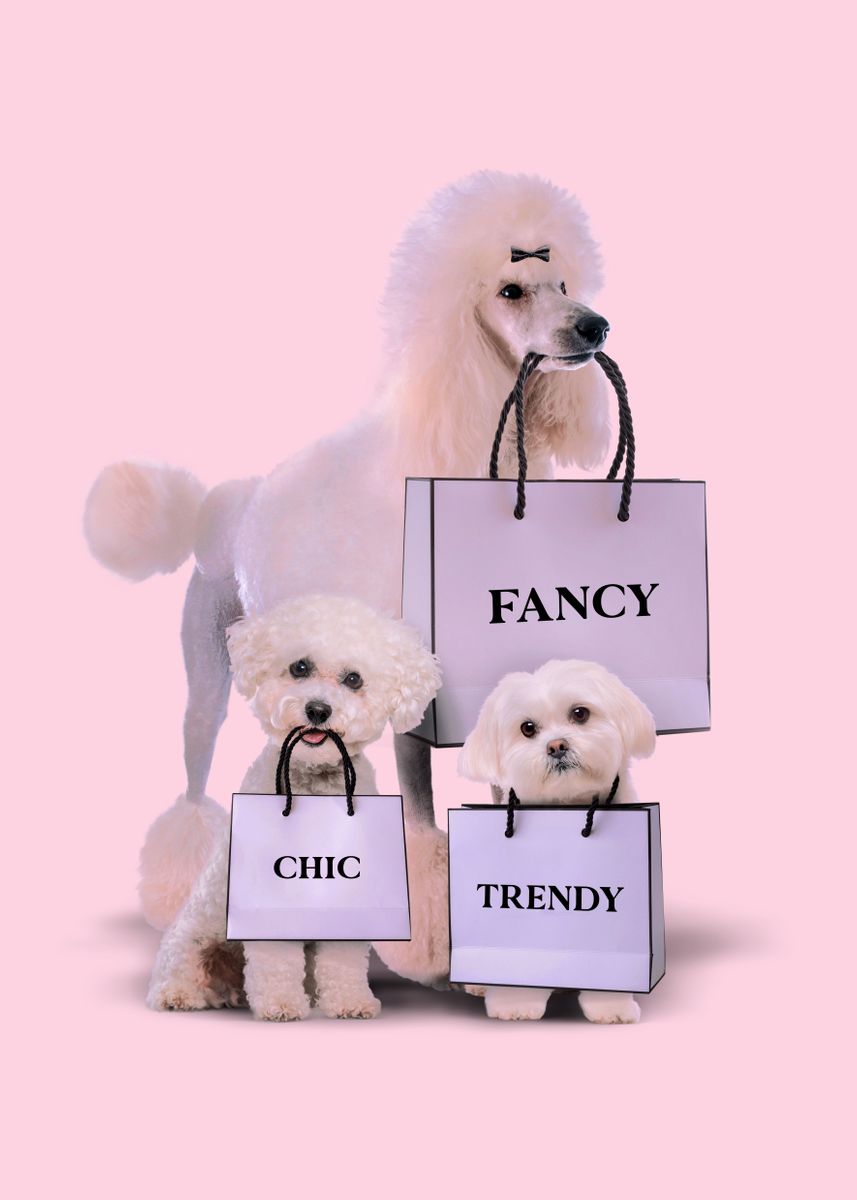 'Fashion Dogs' Poster, picture, metal print, paint by Jonas Loose ...