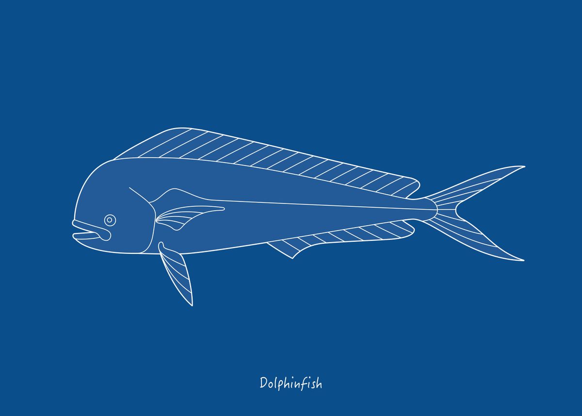 'Sea Fish ' Poster by Angling Knots | Displate