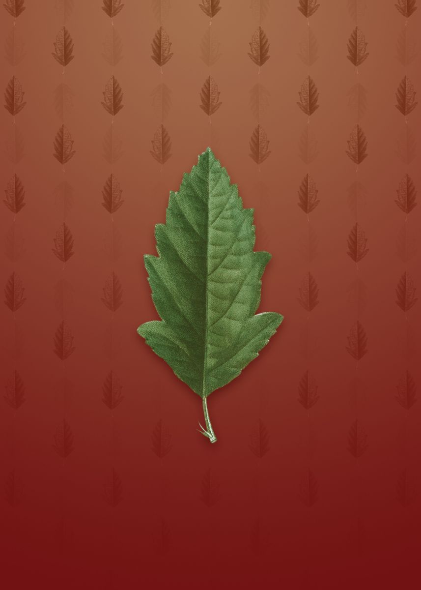 'Crabapple on Falu Red' Poster, picture, metal print, paint by Holy ...