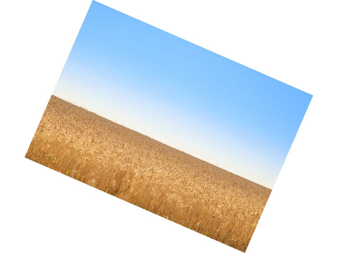 'barley farm' Poster by MrNguyen HaTang | Displate