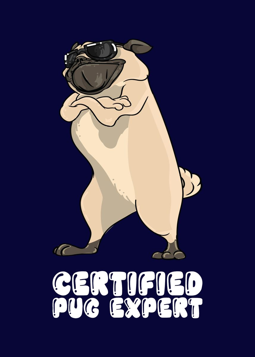 'Certified Pug Expert' Poster, picture, metal print, paint by MzumO ...