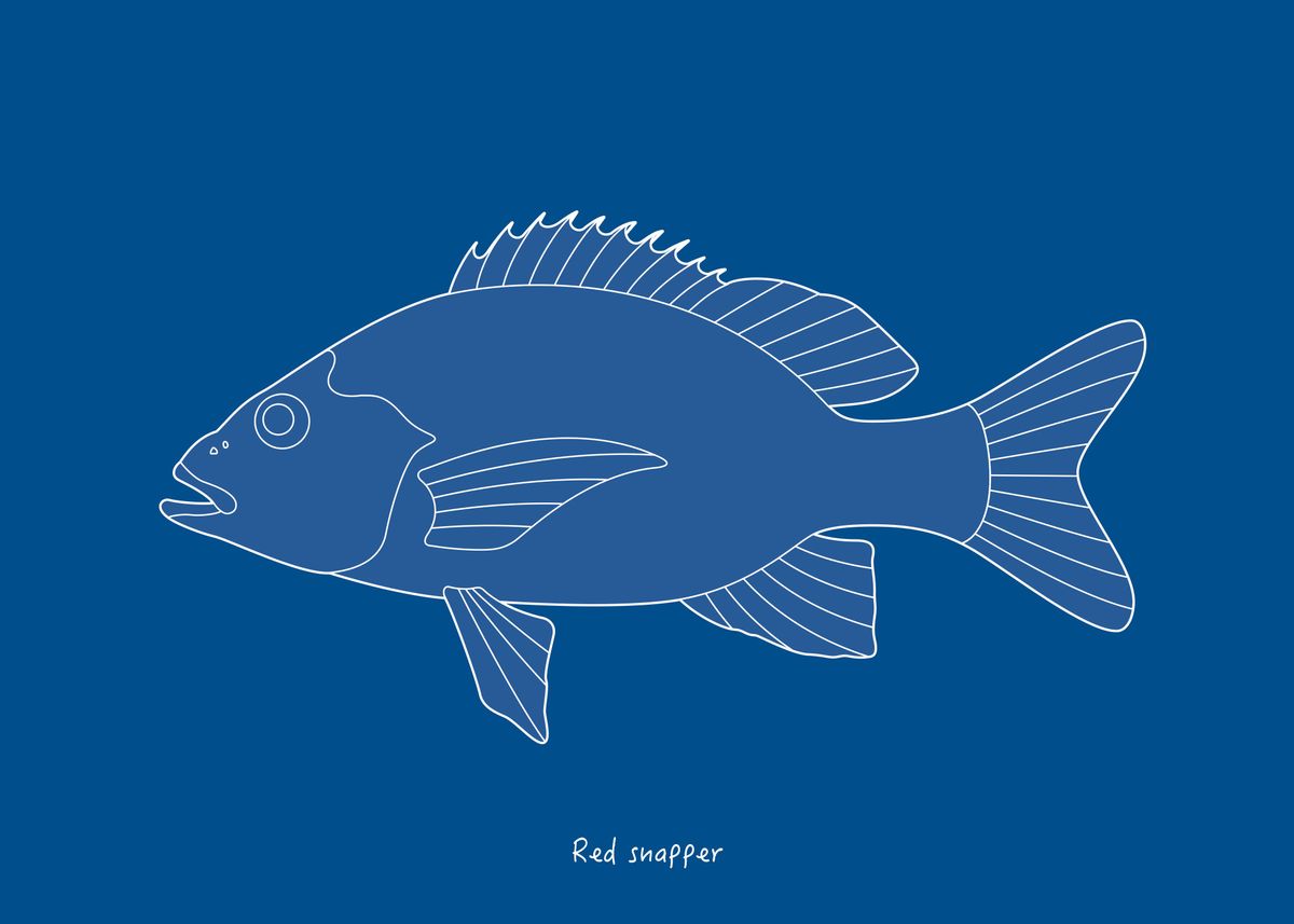 'Sea Fish ' Poster by Angling Knots | Displate