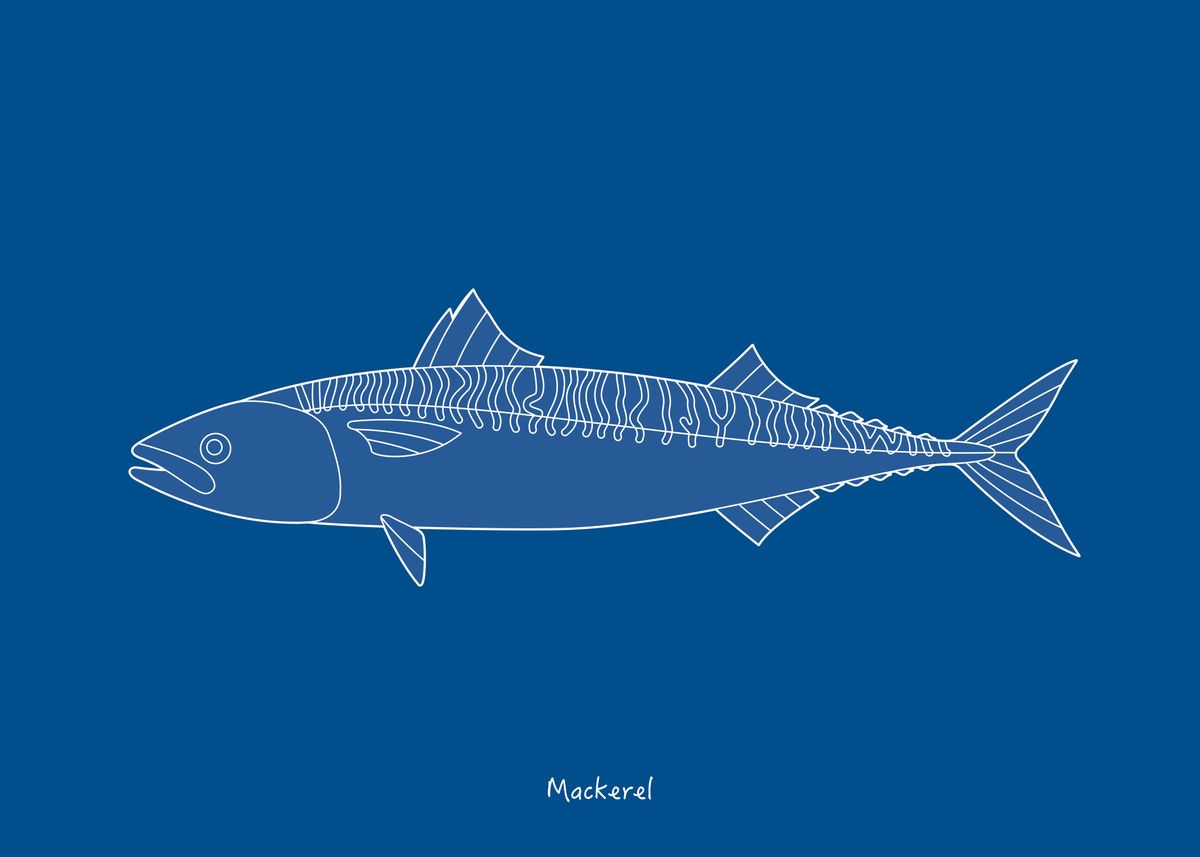 'Sea Fish ' Poster by Angling Knots | Displate