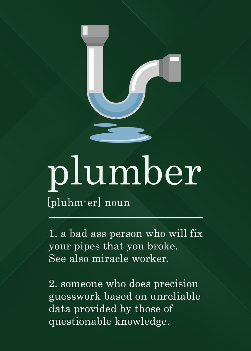 'Funny Plumber Definition' Poster, picture, metal print, paint by ...