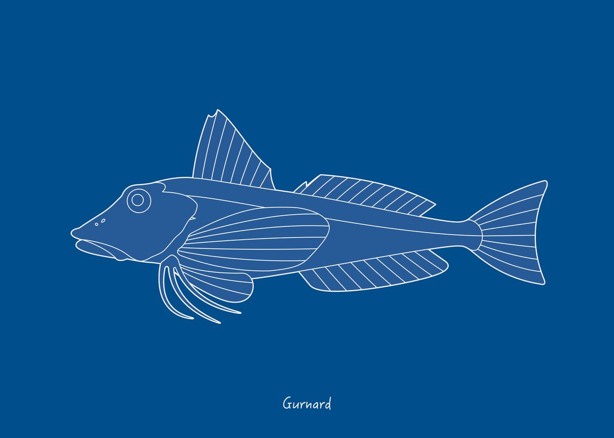 'Sea Fish ' Poster by Angling Knots | Displate