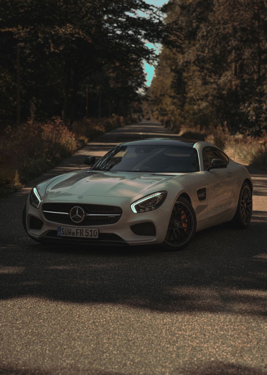 'Mercedes Benz' Poster, picture, metal print, paint by Marcel Lee ...