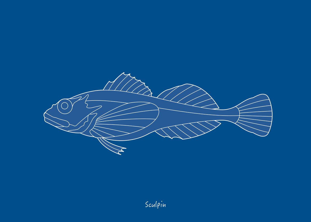 'Sea Fish ' Poster by Angling Knots | Displate